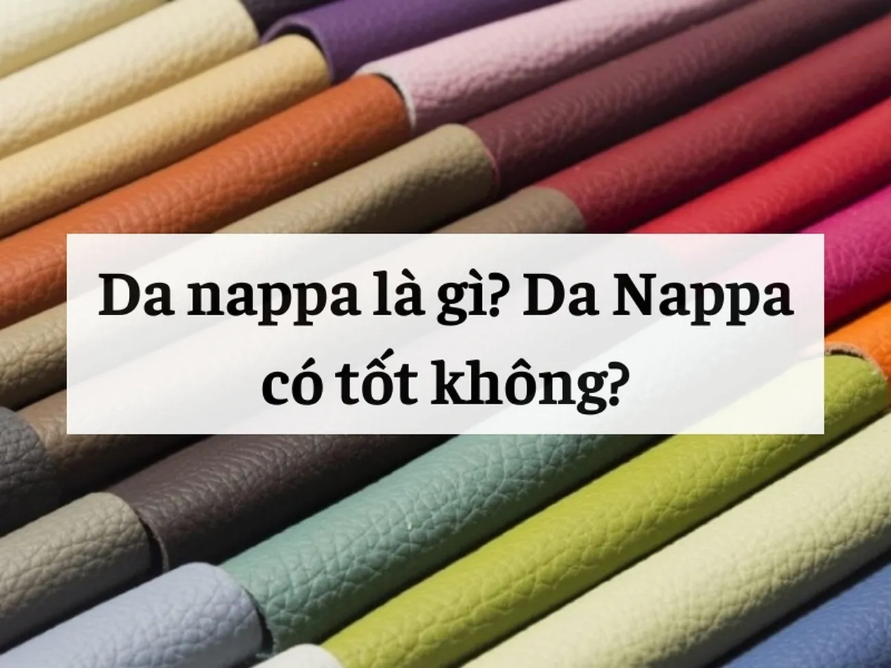 Da Nappa Là Gì? Da Nappa Có Tốt Không?